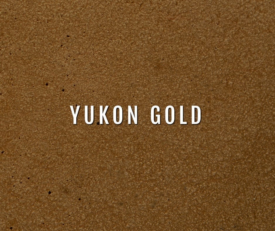 Yukon Gold Outdoor Concrete Stained Projects