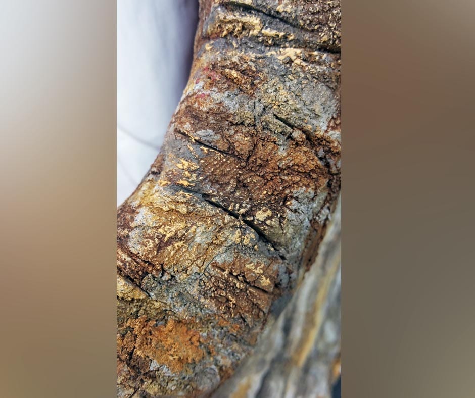 Cola Concrete Stain Photo Gallery | Direct Colors