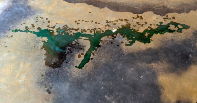 Vein Staining Technique: Concrete Veining with Acid Stain