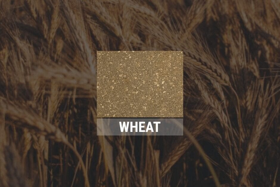 Acid Stain Project Checklist | Direct Colors.