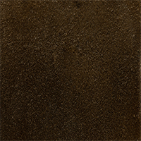 ColorWave Stain Color Trial Kit | Direct Colors